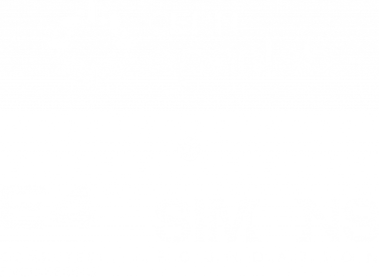 Our projects – CERN openlab
